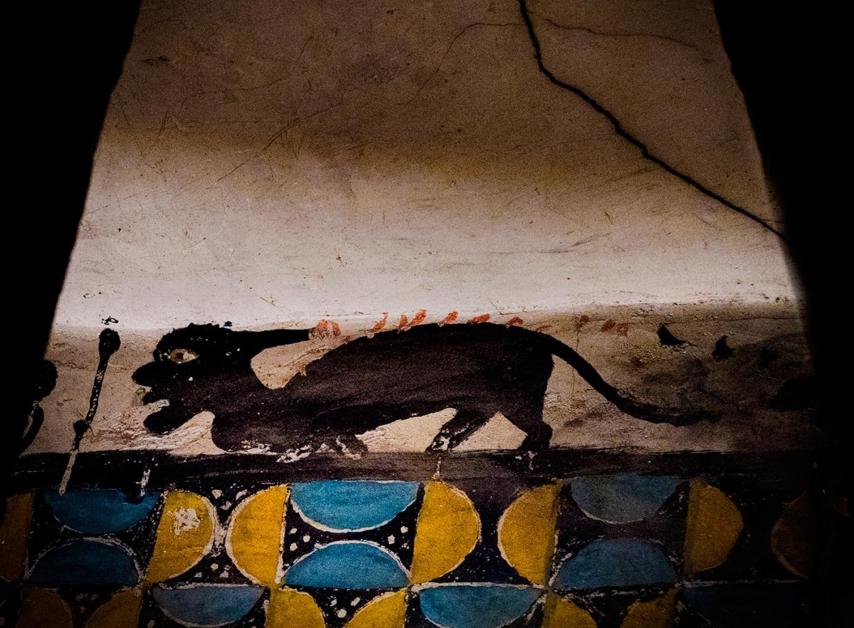 Siguiendo el rastro del hombre salvaje – Cultura Conectada